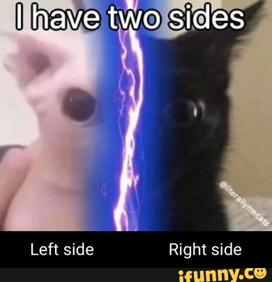 I have two sides Left side Right side - iFunny Brazil
