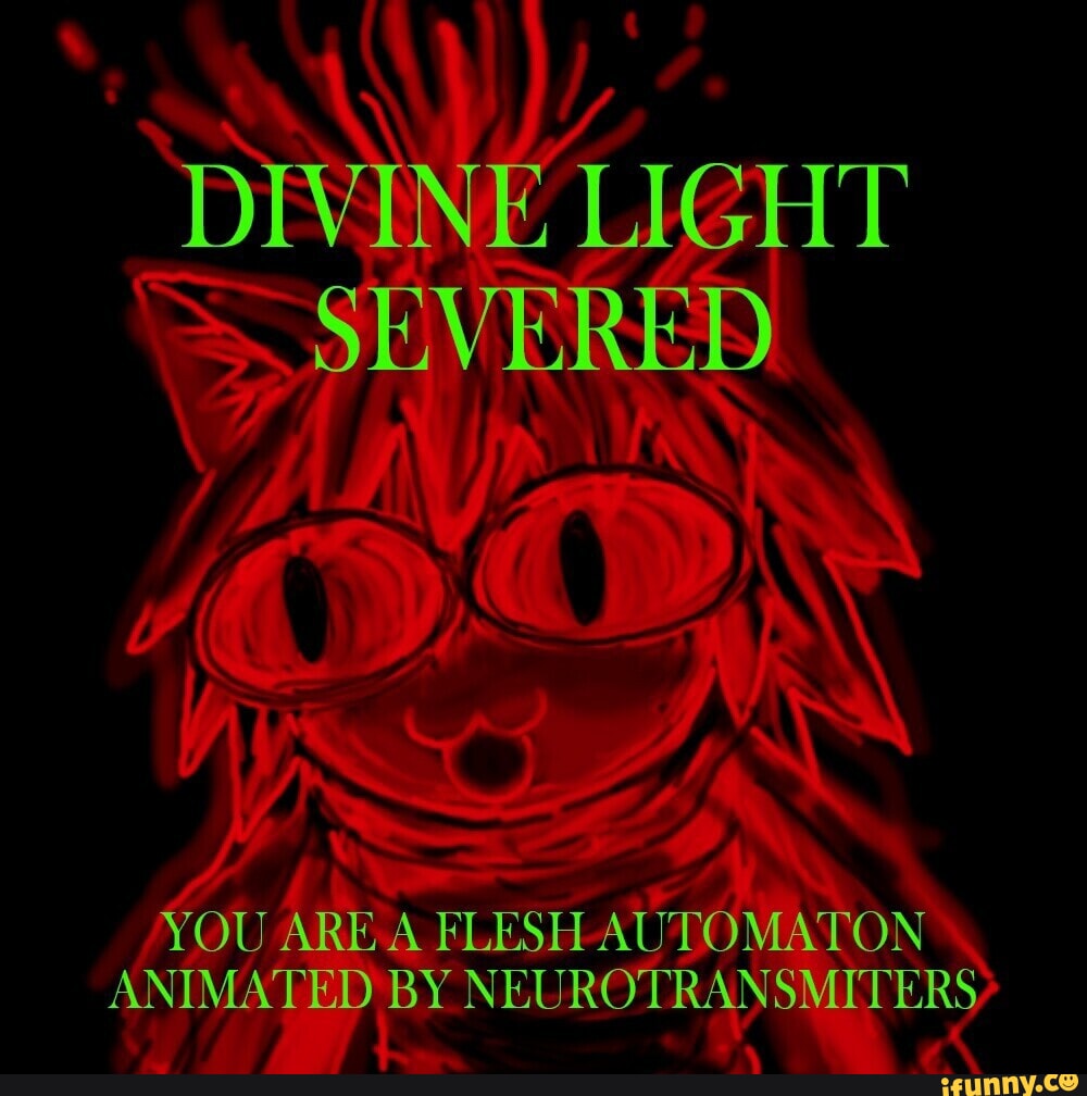 DIVINE LIGHT SEVERED YOU ARE FLESH AUTOMATON ANIMATED BY ...