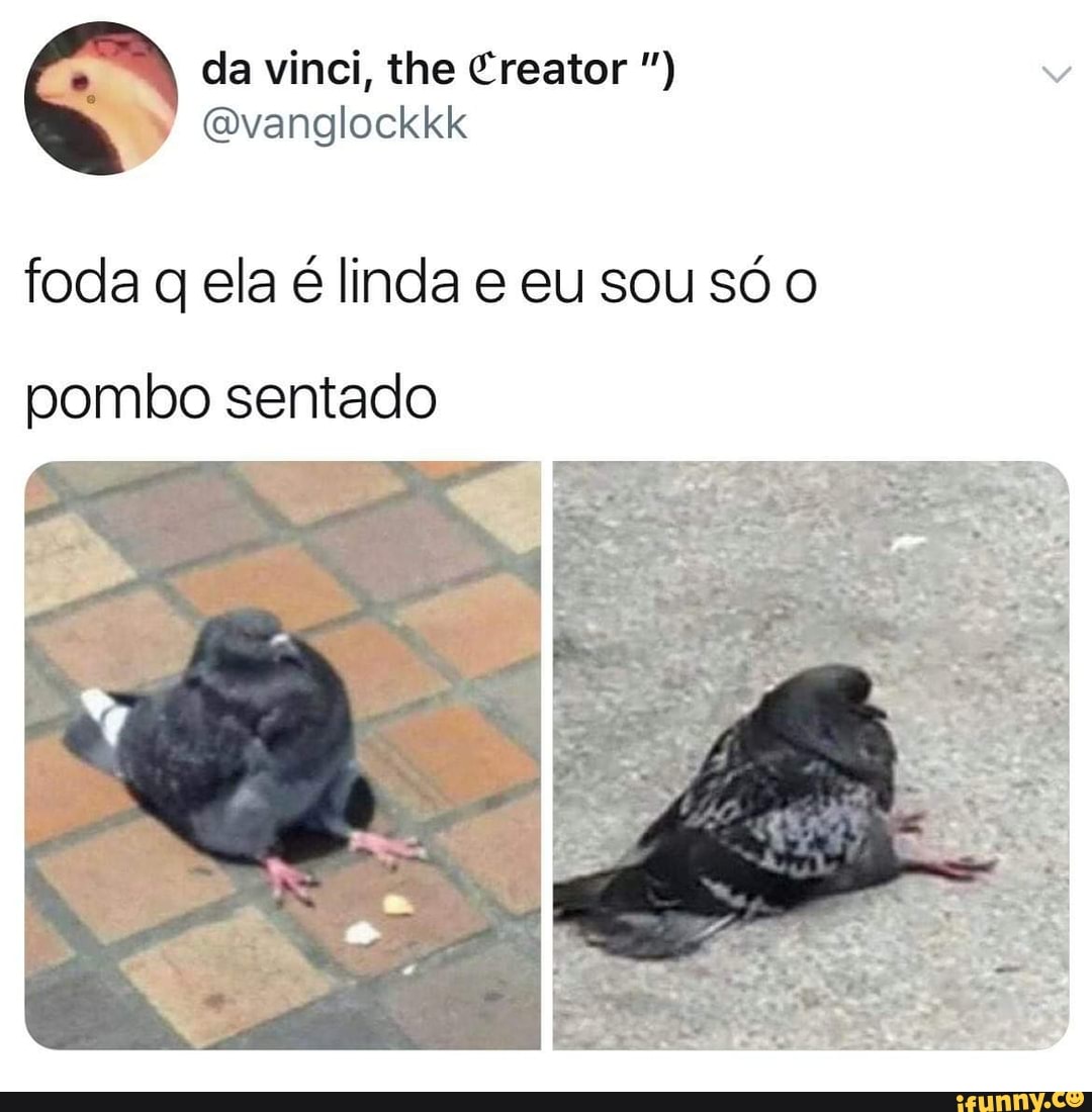 Foda q ela é linda e eu sou só o pombo sentado - iFunny Brazil