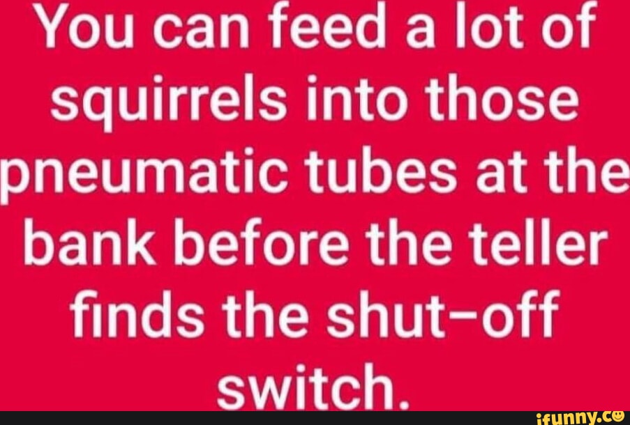 You Can Feed A Lot Of Squirrels Into Those Pneumatic Tubes At The Bank