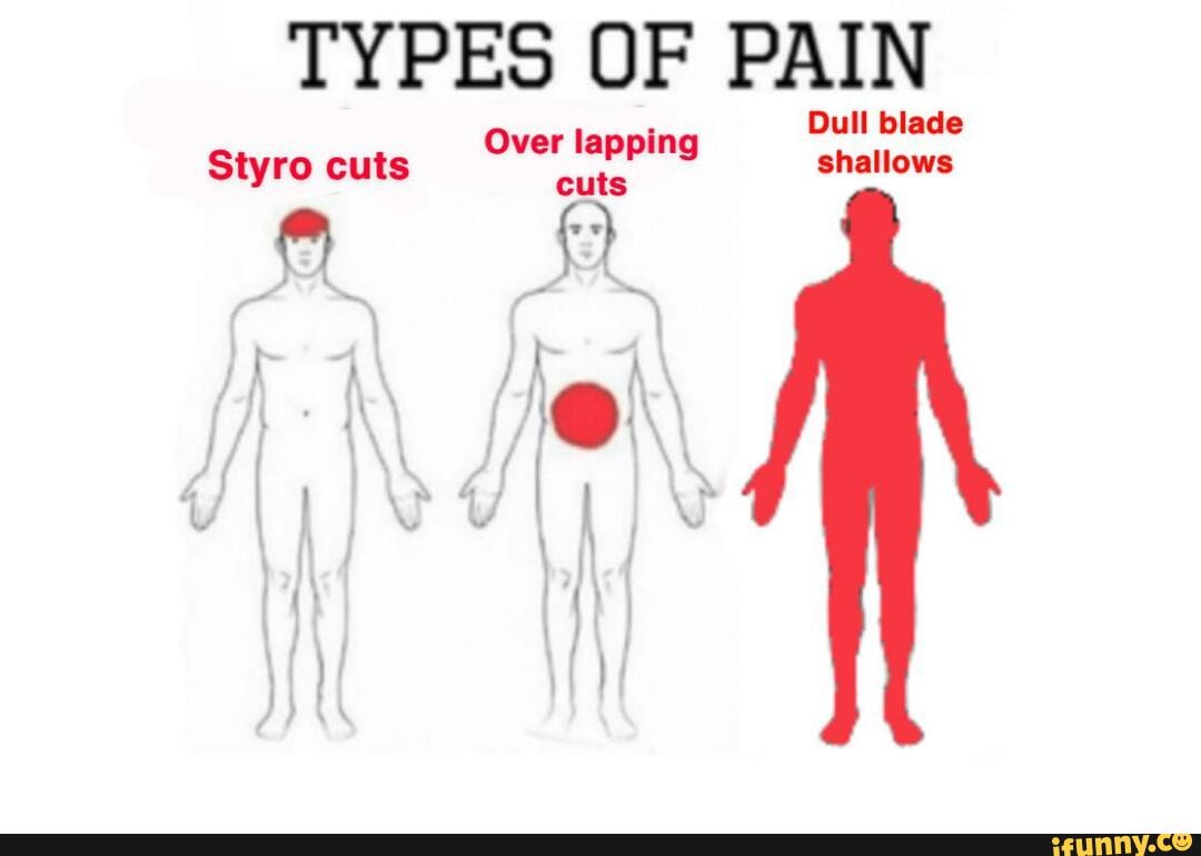 TYPES OF PAIN Dull blade shallows Styro cuts Over - iFunny Brazil