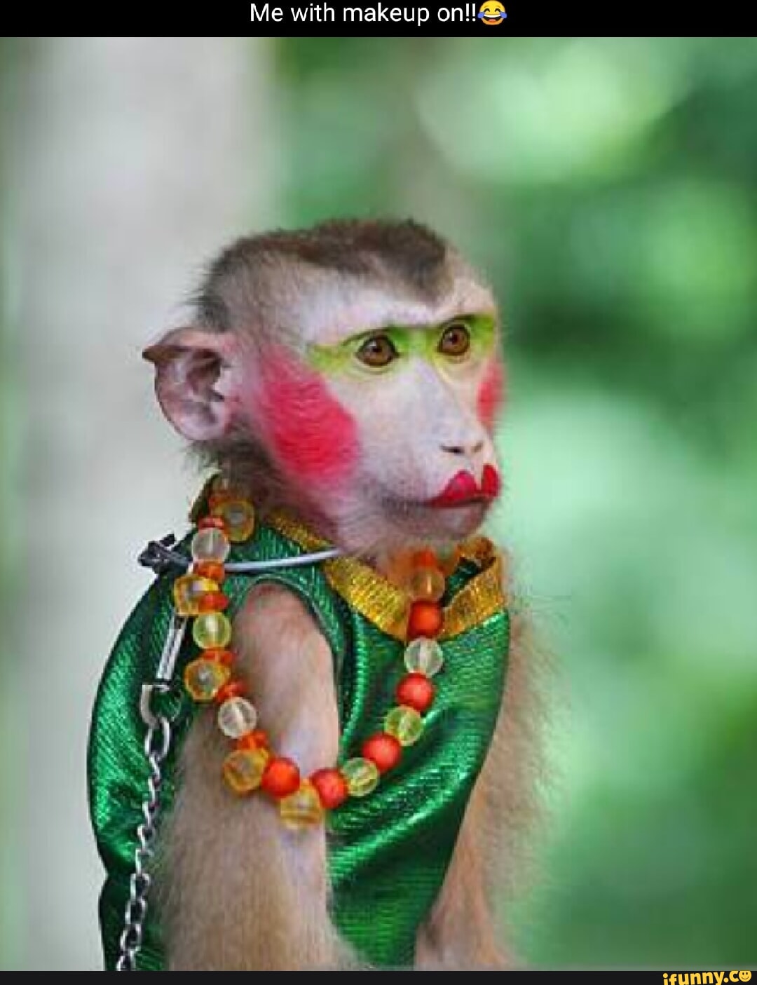 Funny Monkey Makeup Pictures - Mugeek Vidalondon