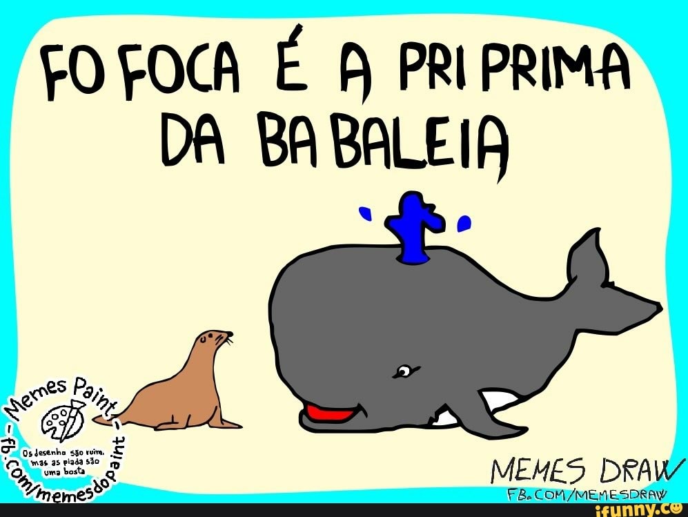Gaaay Foca Memes