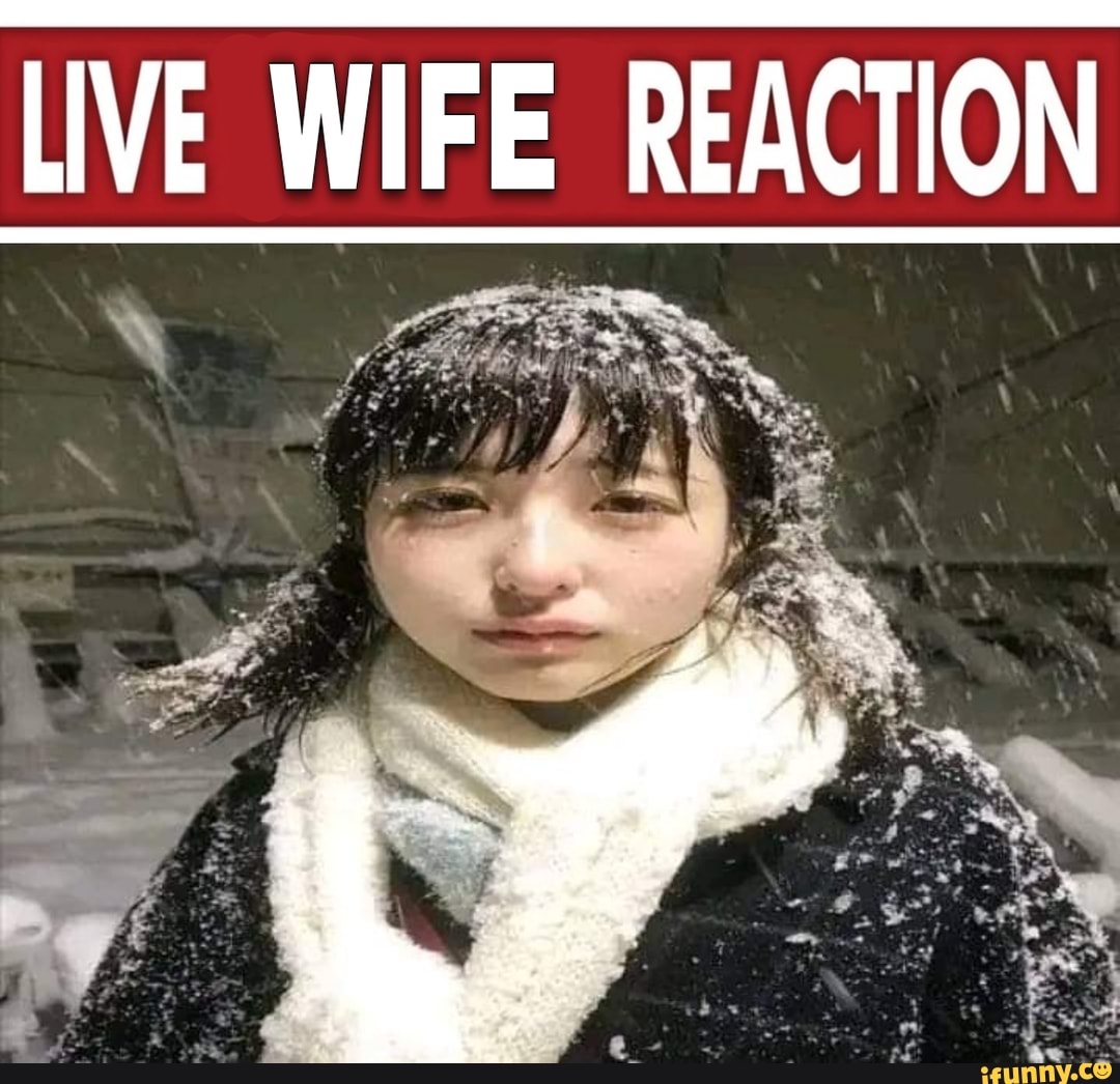 LIVE WIFE REACTION - iFunny Brazil