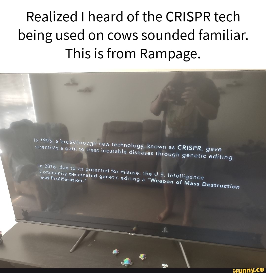 Realized I heard of the CRISPR tech being used on cows sounded familiar ...
