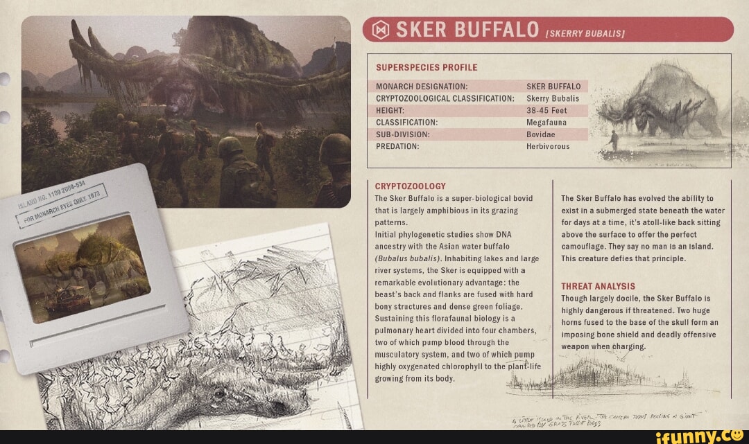 KER BUFFALO SUPERSPECIES PROFILE MONARCH DESIGNATION: CRYPTOZOOLOGICAL ...