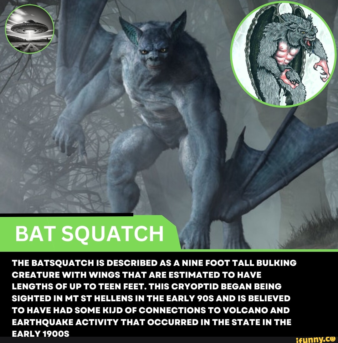 BAT SQUATCH THE BATSQUATCH IS DESCRIBED AS A NINE FOOT TALL BULKING ...