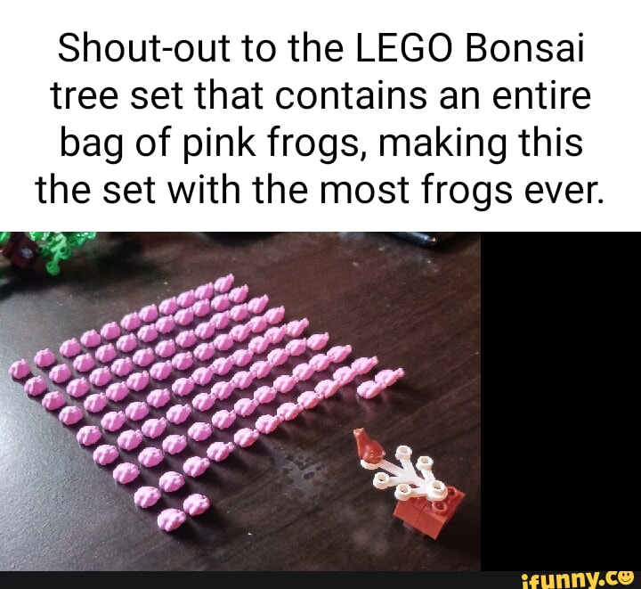 Shout-out to the LEGO Bonsai tree set that contains an entire bag of ...