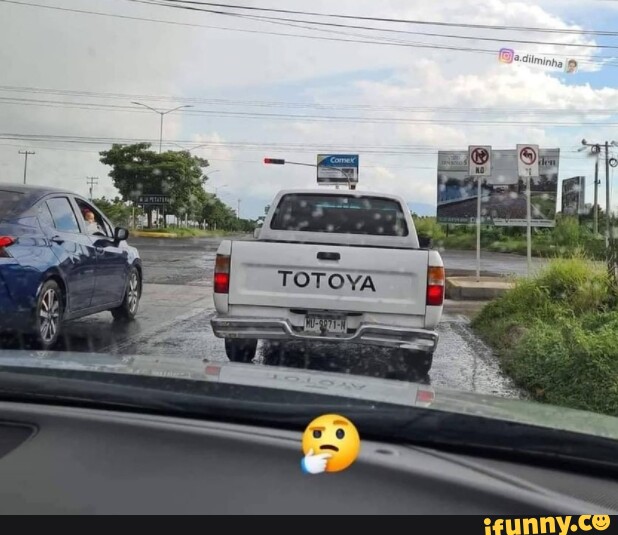 Totoya memes. Best Collection of funny Totoya pictures on iFunny Brazil