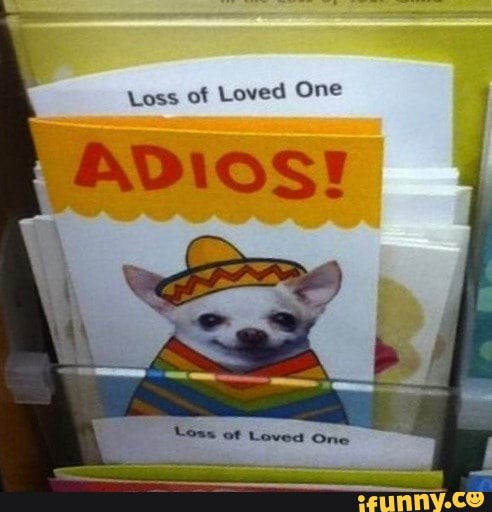 Loss of Loved One ADIOS! - iFunny Brazil
