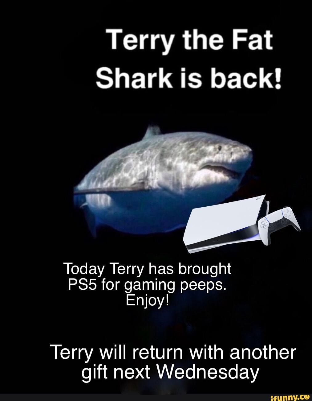 Terry_the_fat_shark memes. Best Collection of funny Terry_the_fat_shark ...