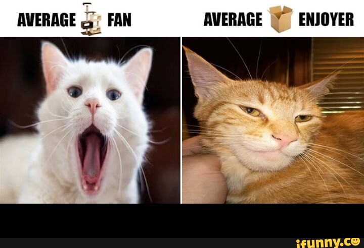 AVERAGE FAN AVERAGE ENJOYER - iFunny Brazil