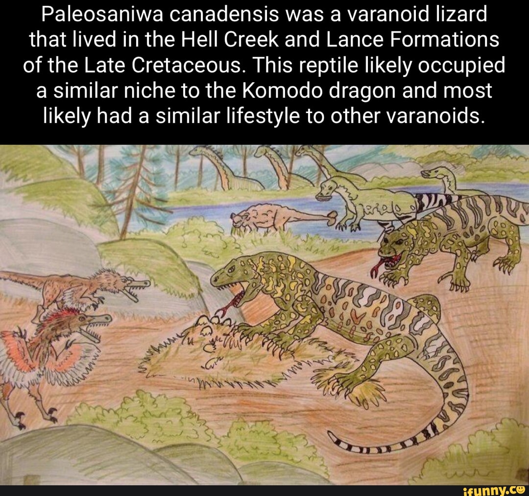 Paleosaniwa canadensis was a varanoid lizard that lived in the Hell ...