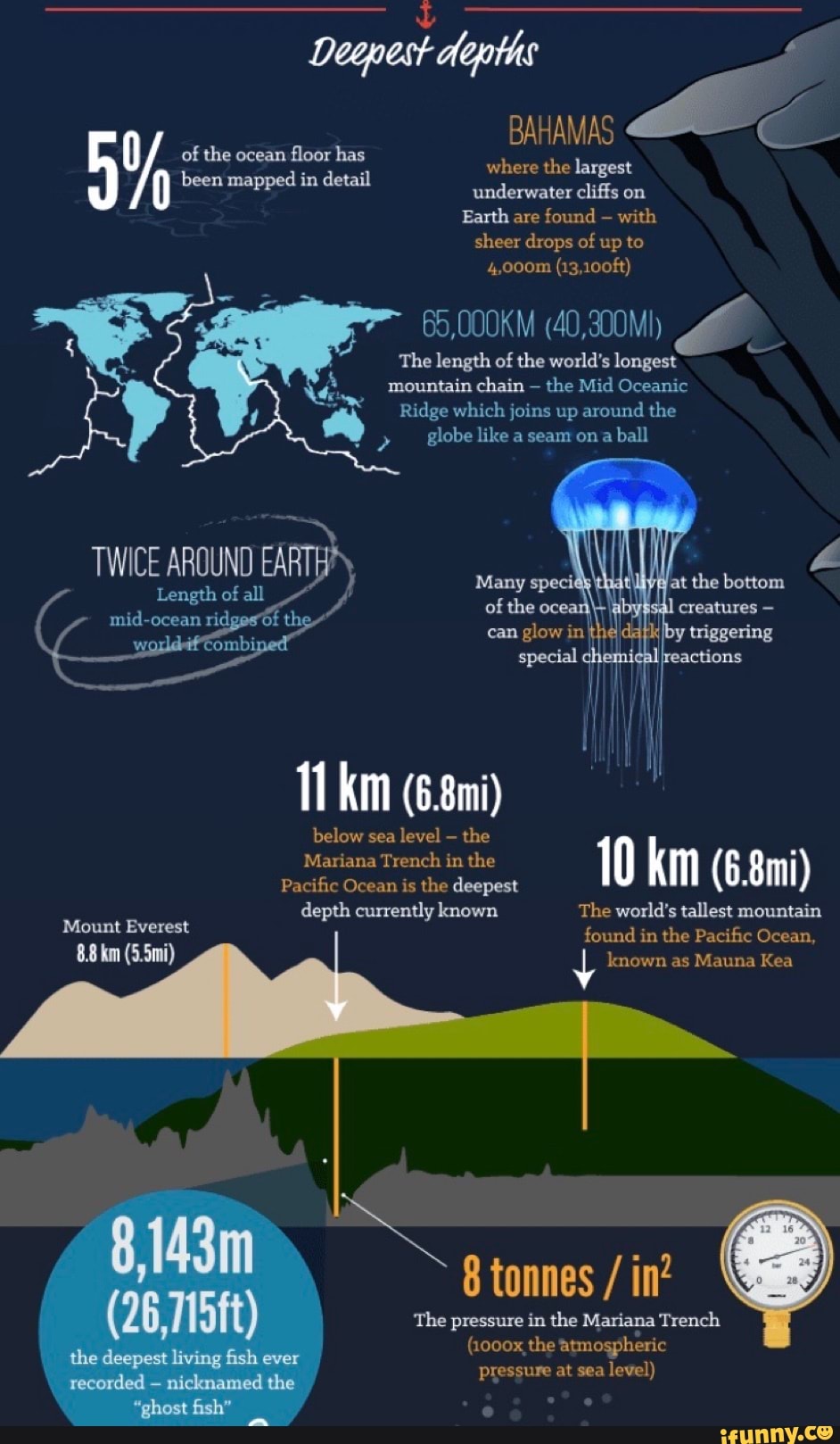 Tallest Underwater Mountain