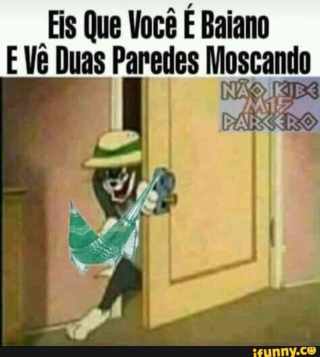 Eis Que Você É Baiano E Vê Duas Paredes Moscando I - iFunny Brazil