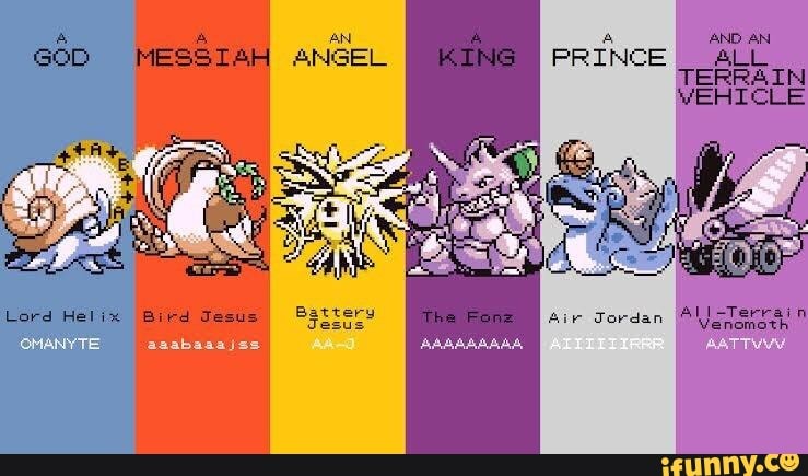Bird Jesus