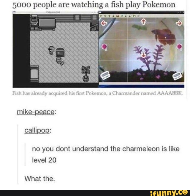 5000 people are watching a fish play Pokemon Fish has already acquired ...