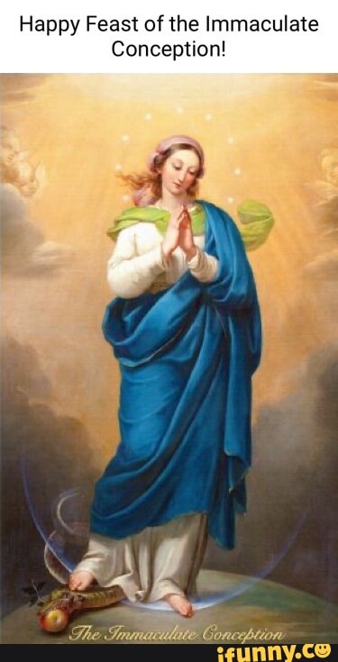 Happy Feast of the Immaculate Conception! - iFunny Brazil