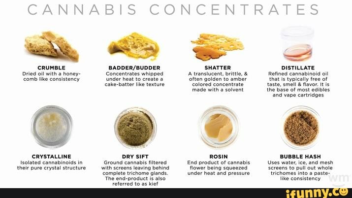 CANNABIS CONCENTRATES a 'CRUMBLE SSS 'CRUMBLE Dried oil with a honey ...