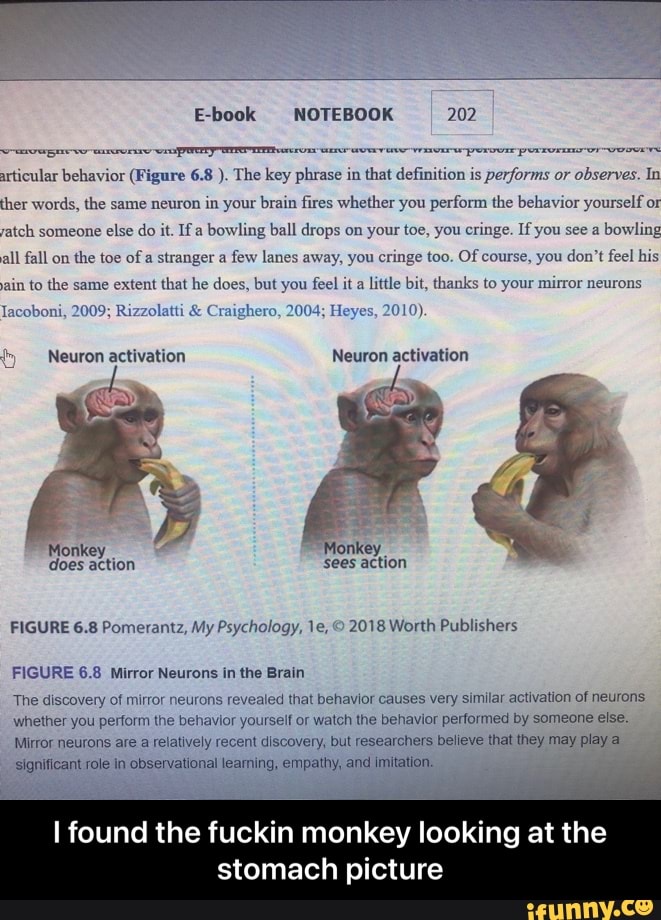 Observational Learning Animals