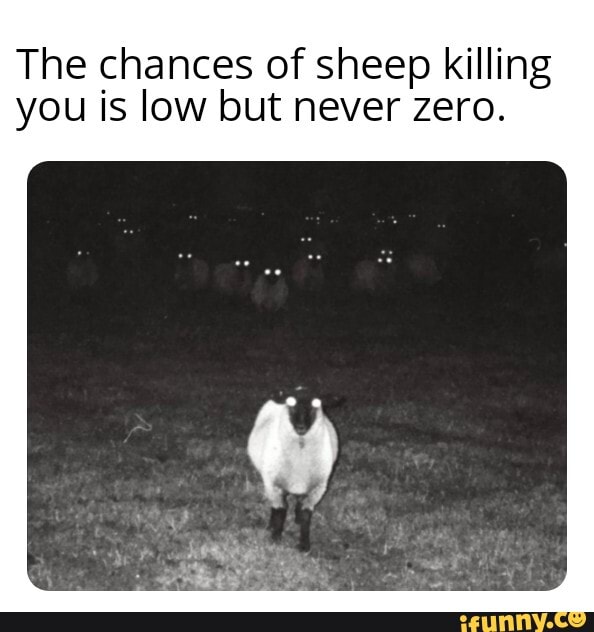 The chances of sheep killing you is low but never zero. - iFunny Brazil