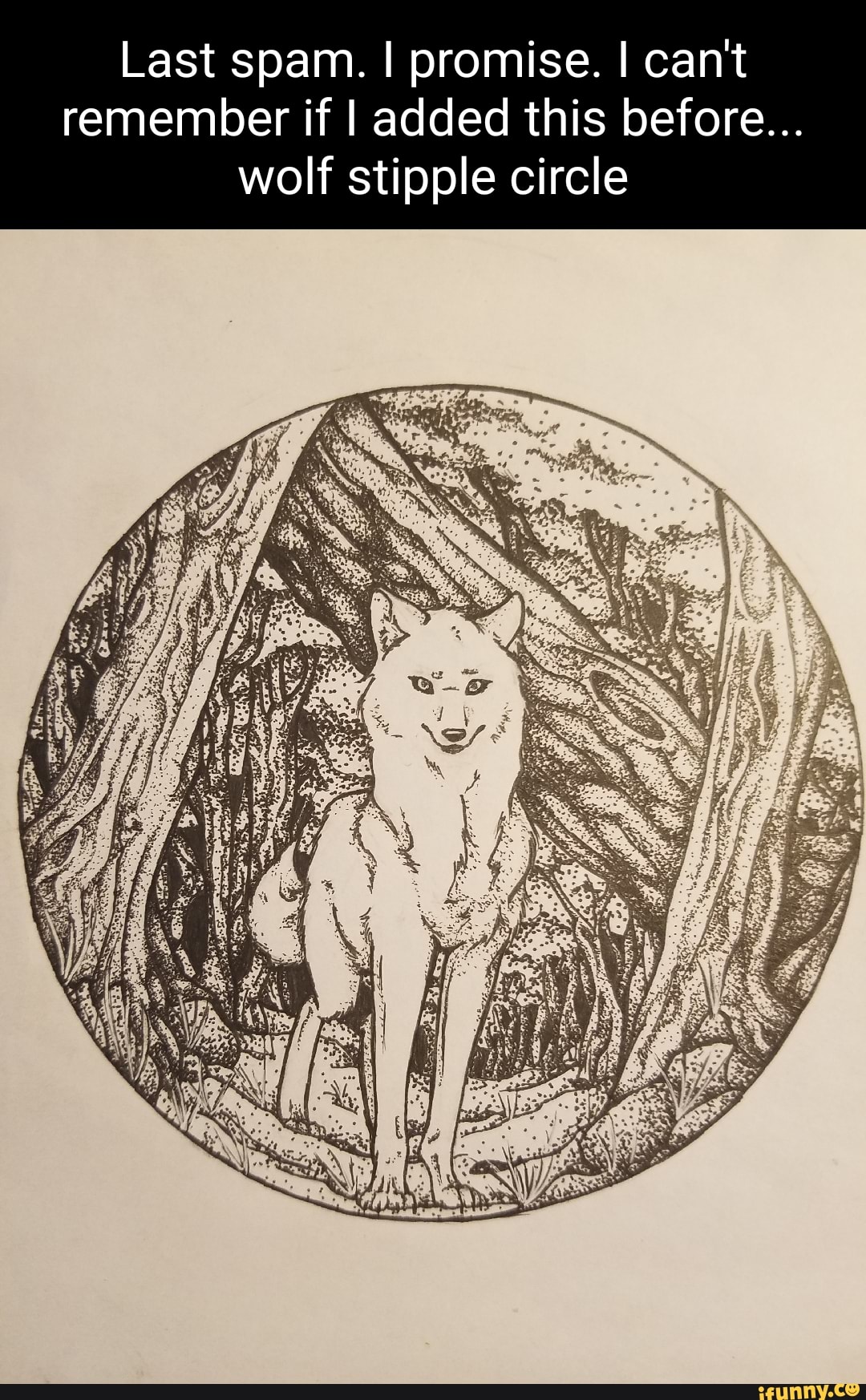 Last spam. I promise. I can't remember if I added this before... wolf ...