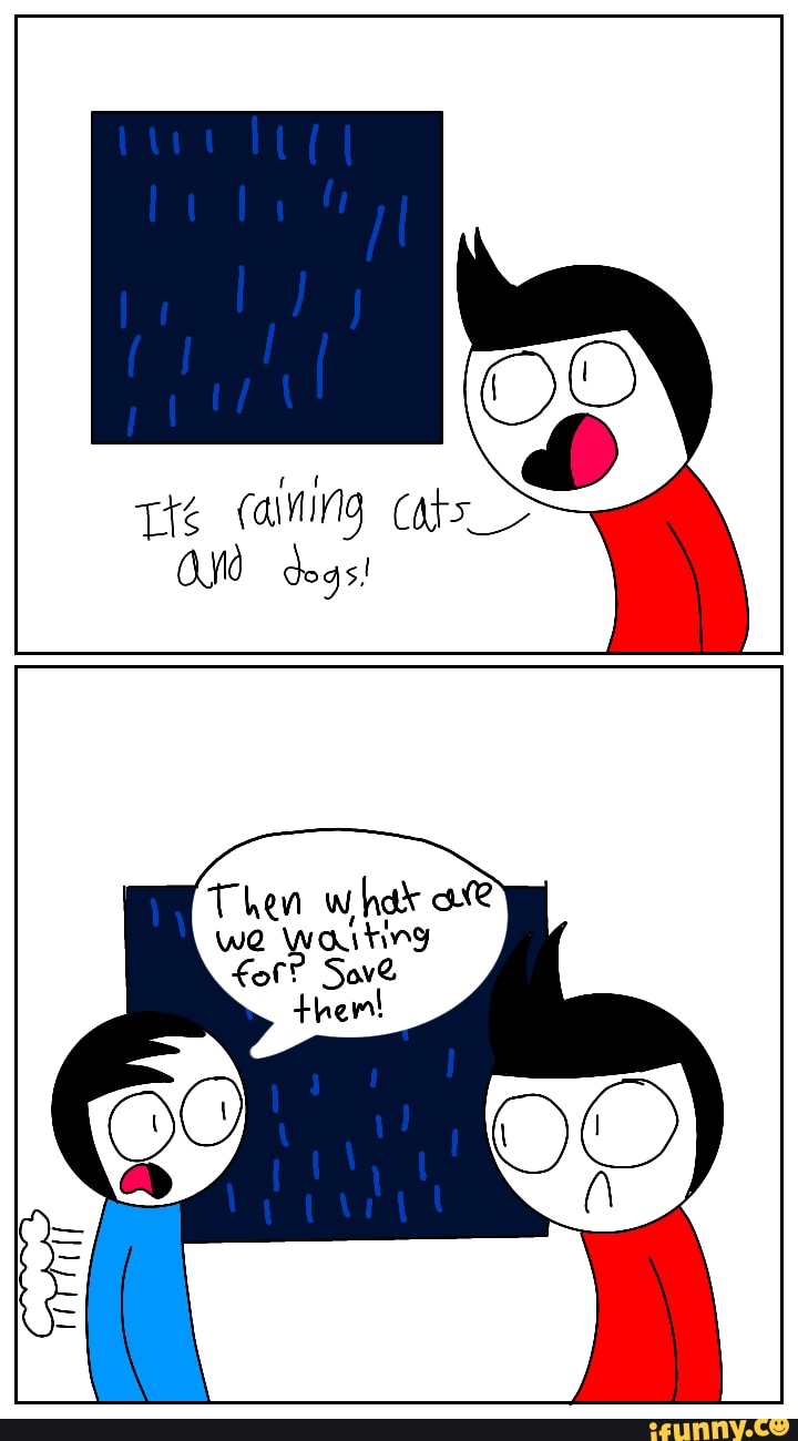 CAINING Caps dogs! Then whdr wa ny Sove them! - iFunny Brazil