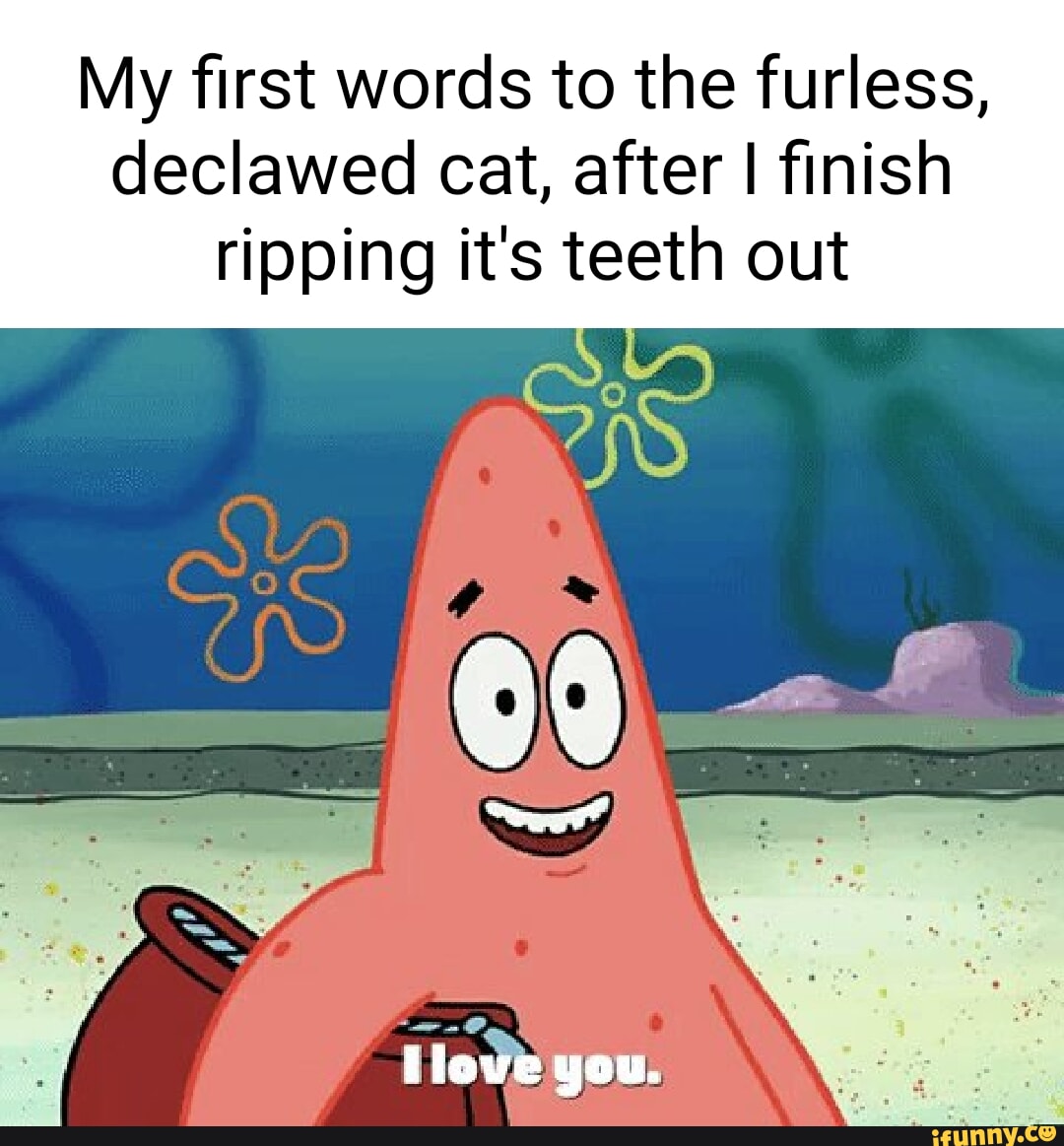 My first words to the furless, declawed cat, after I finish ripping it ...