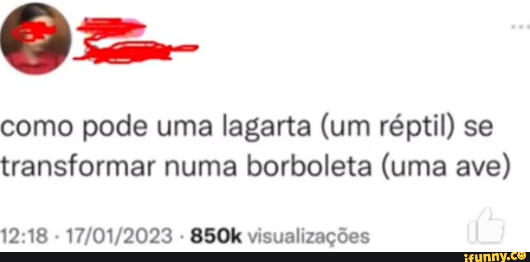 Como pode uma lagarta (um réptil) se transformar numa borboleta (uma ...
