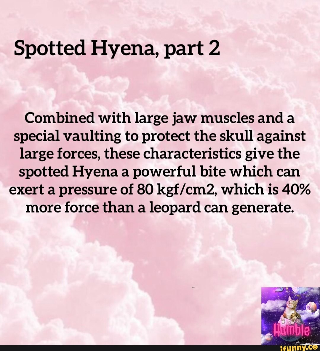 Spotted Hyena, part 2 Combined with large jaw muscles and a special ...