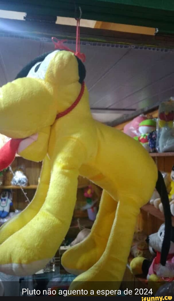 Pluto não aguento a espera de 2024 - iFunny Brazil