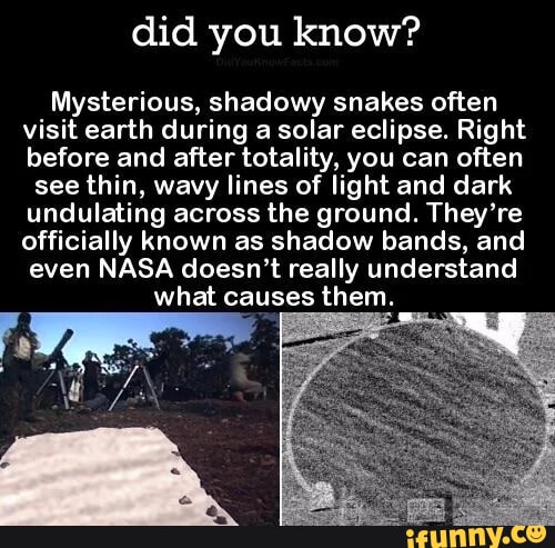 Did you know? Mysterious, shadowy snakes often visit earth during a ...