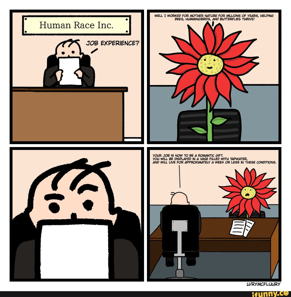 Hummingbirds memes. Best Collection of funny Hummingbirds pictures on ...