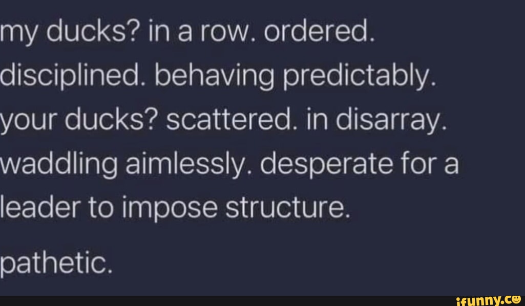 My ducks? in a row. ordered. disciplined. behaving predictably. your ...