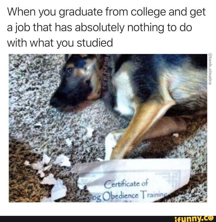 College Graduation Meme Dog