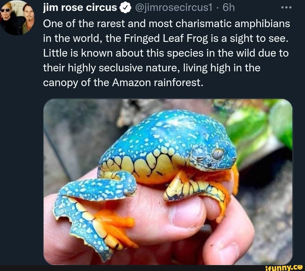 Jim rose circus Y) @jimrosecircusi One of the rarest and most ...