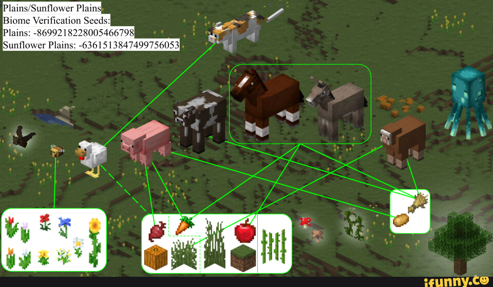 In Game Biome Food Web Time - Biome Verification Seeds: Plains ...