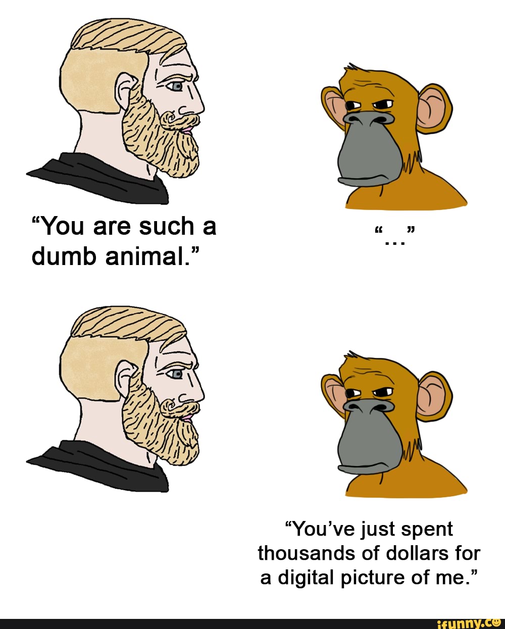 Dumb Pictures Of Animals