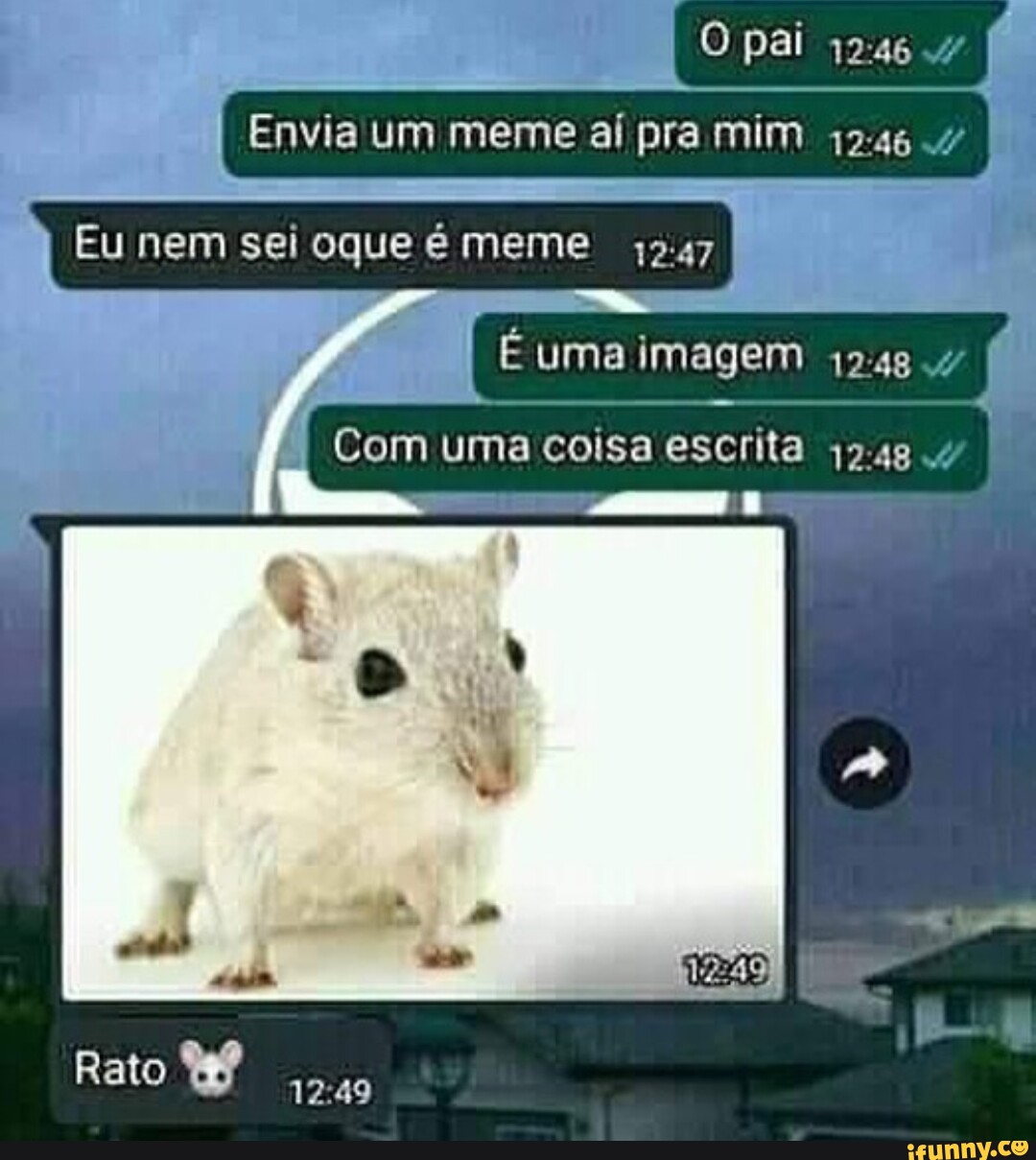 O pai Envia um meme aí pra mim I Eu nem sei oque é meme I I I E uma ...