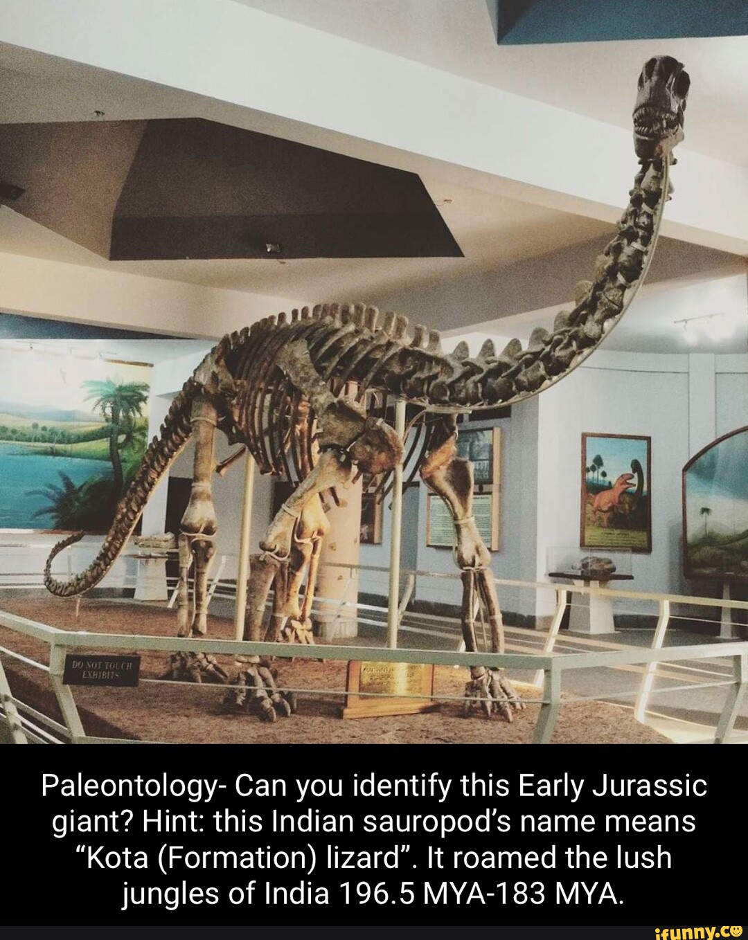 Paleontology- Can you identify this Early Jurassic giant? Hint: this ...