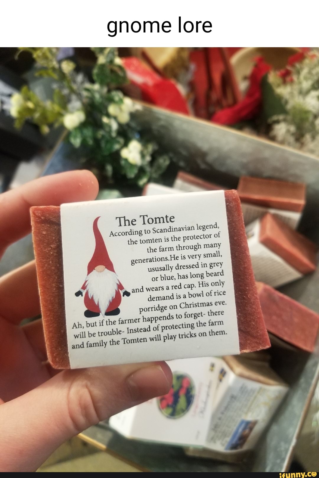 Gnome lore The Tomte According to Scandinavian legend, the tomten is ...