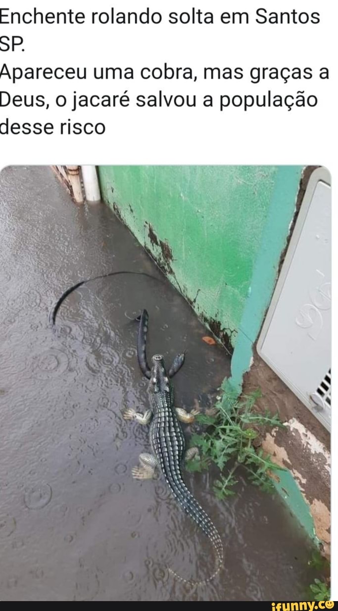 O Jacare Nacional