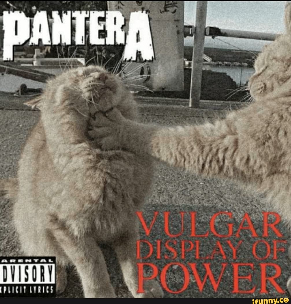 Pantera Memes
