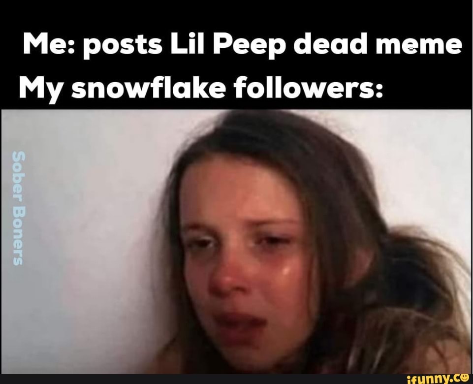 This Post Is Dead Meme