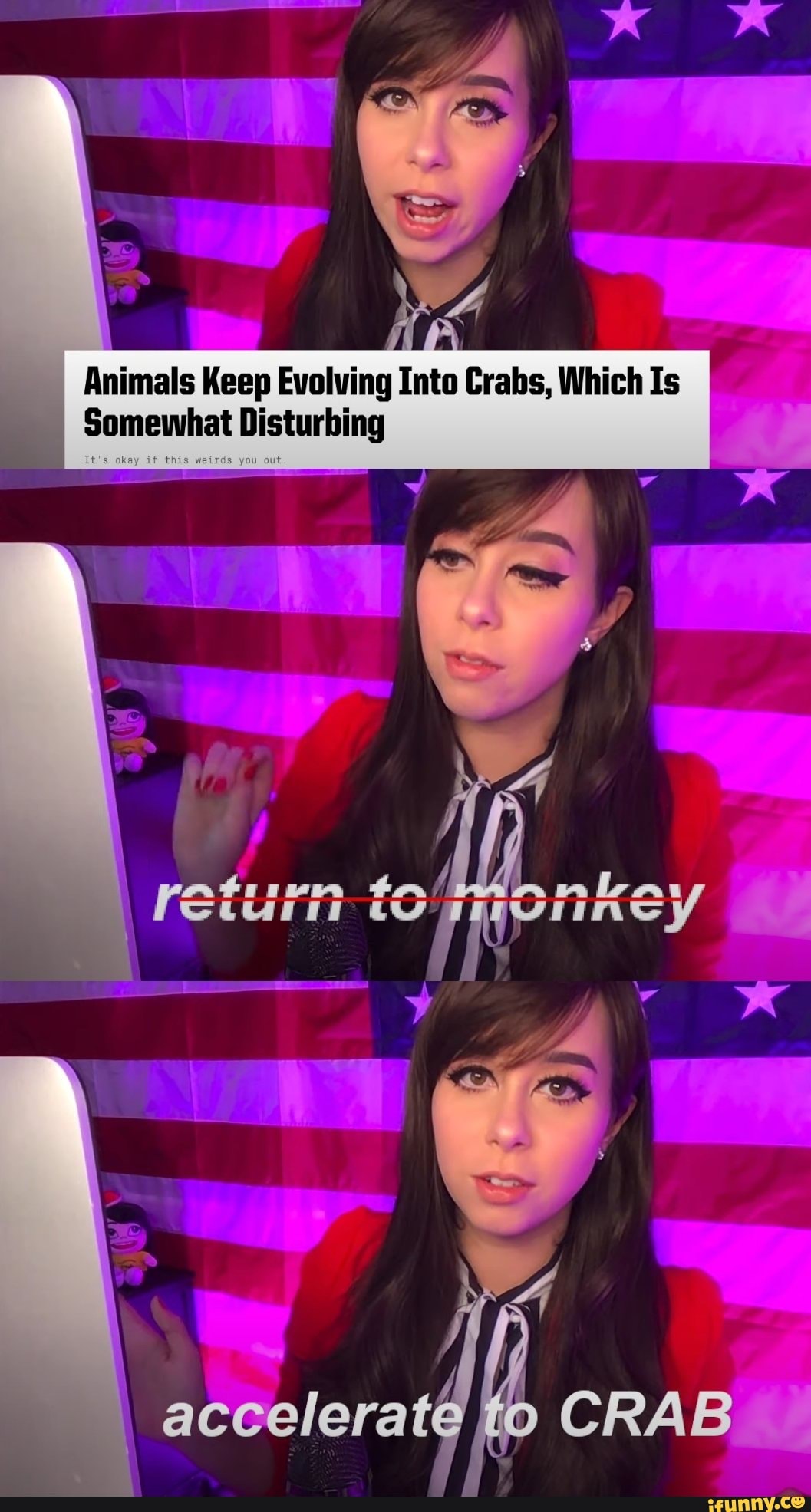Animals Keep Evolving Into Crabs, Which Is Somewhat Disturbing CRAB ...