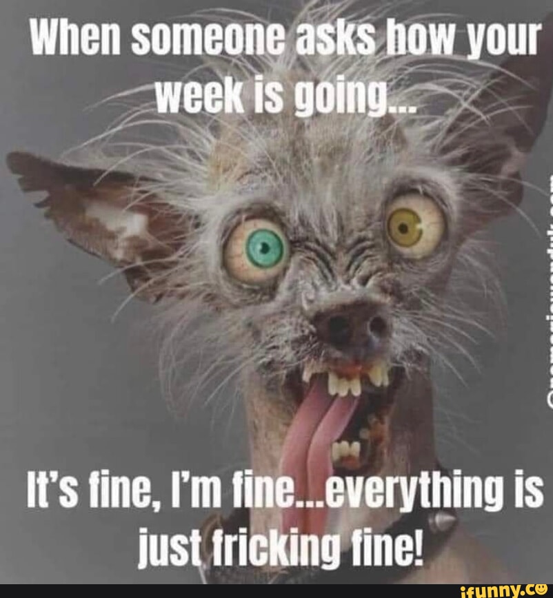 When someene asks how your week is going... It's fine, I'm fine ...