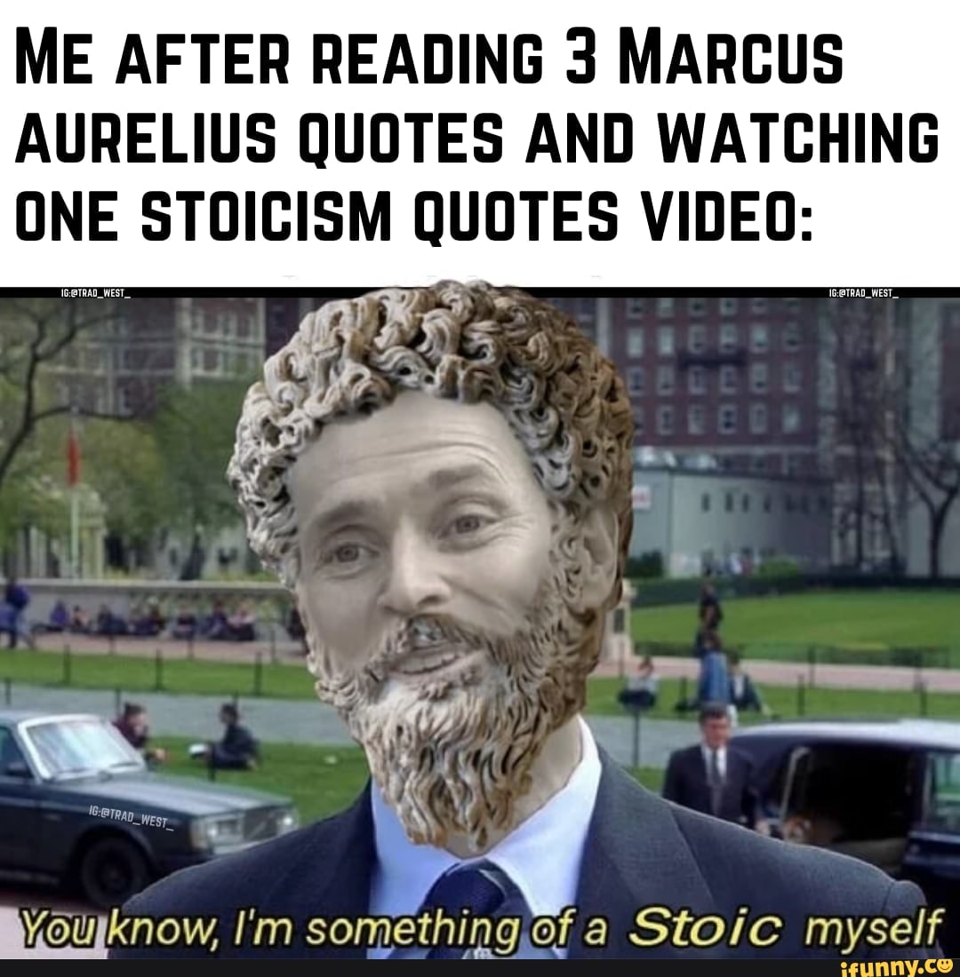 ME AFTER READING 3 MARCUS AURELIUS QUOTES AND WATCHING ONE STOICISM ...