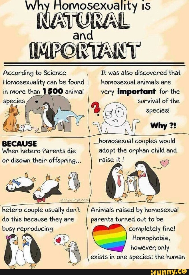 Homosexuality In Animals