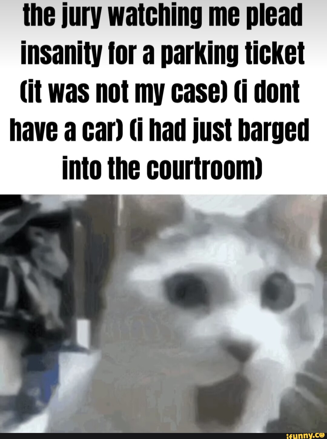 The jury watching me plead insanity for a parking ticket (it was not my ...