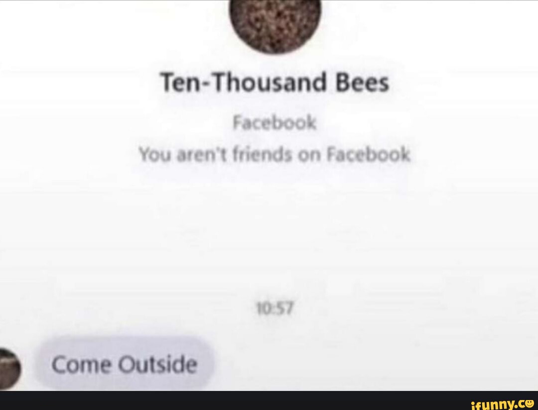 Ten- Thousand Bees Come Outside - iFunny Brazil